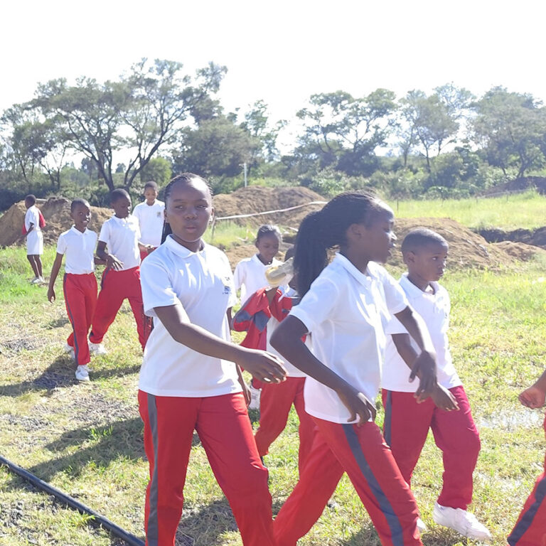 Lingfield Primary - Lingfield Advent Schools