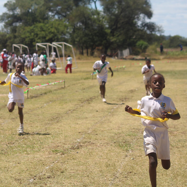 Lingfield Primary - Lingfield Advent Schools